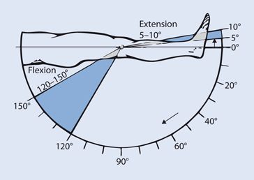 Verletzungen | SpringerLink
