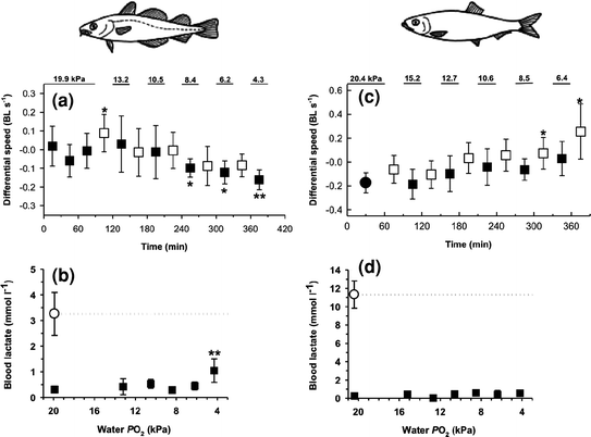 The Effect of Hypoxia on Fish Swimming Performance and Behaviour ...