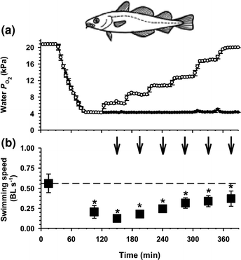 The Effect of Hypoxia on Fish Swimming Performance and Behaviour ...