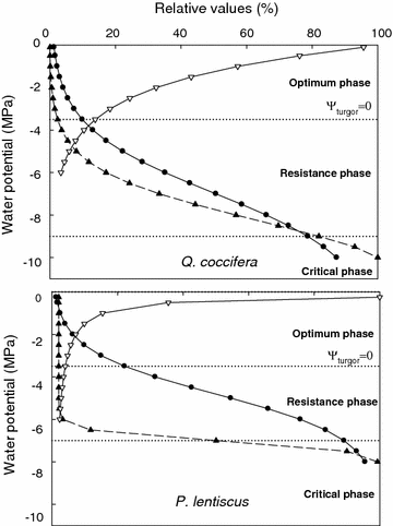 Xylem Cavitation and Embolism in Plants Living in Water-Limited ...