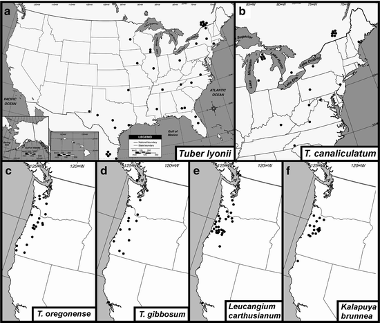 Native and Cultivated Truffles of North America | SpringerLink