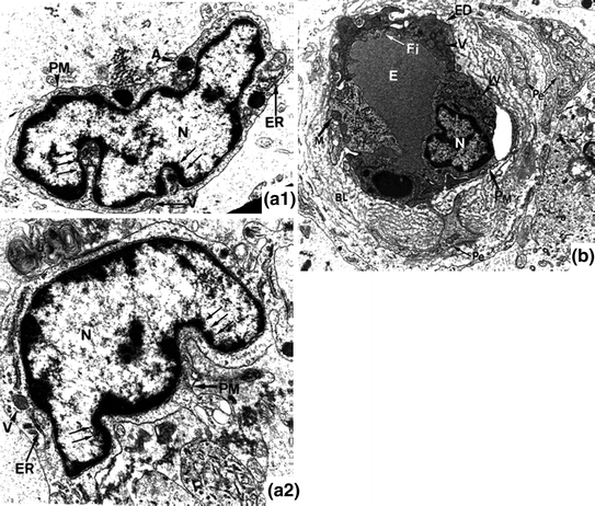 Factors Affecting Boar Reproduction, Testis Function, and Sperm Quality ...