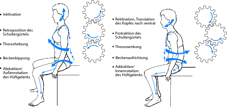 Bewegungsmuster der aufrechten und krummen Körperhaltung | SpringerLink