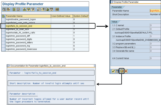 IT General Controls in SAP ERP | SpringerLink