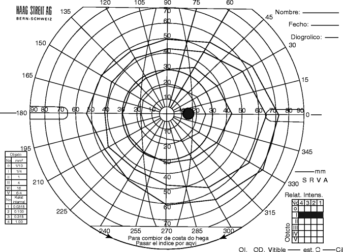 Campimetry and Perimetry | SpringerLink