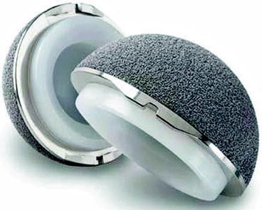 Survival of Monoblock Acetabular Cups Versus an Uncemented Modular Cup ...