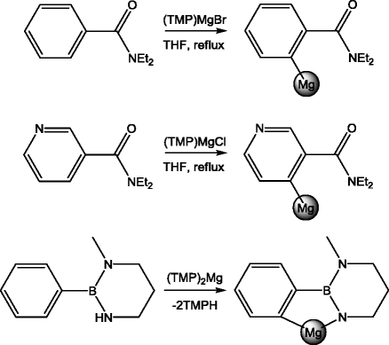 Modern Developments in Magnesium Reagent Chemistry for Synthesis ...