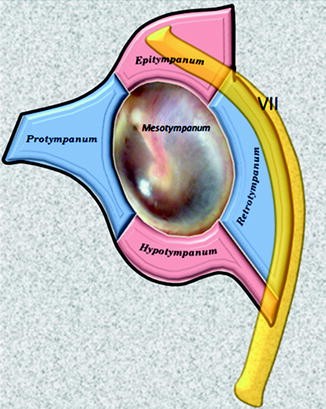 Middle Ear Compartments | SpringerLink