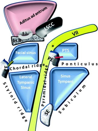 Middle Ear Compartments | SpringerLink