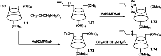 Modification of Cyclodextrin | SpringerLink