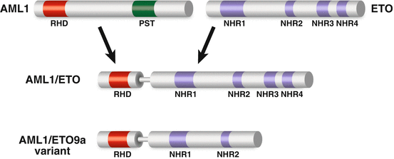 Epigenetic Modifications Mediated by the AML1/ETO and MLL Leukemia ...