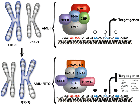 Epigenetic Modifications Mediated by the AML1/ETO and MLL Leukemia ...