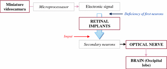 Reverse-Engineer the Brain: Perspectives and Challenges | SpringerLink