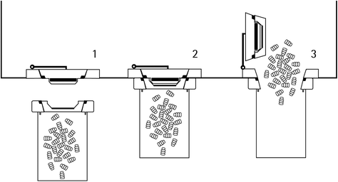Aseptic Transfer Systems Into and Out of Barrier Isolators and RABS ...