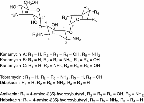 Aminoglycoside Antibiotics | SpringerLink