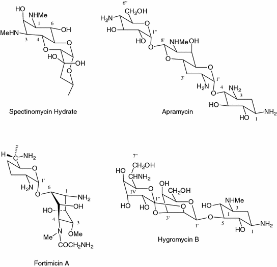 Aminoglycoside Antibiotics | SpringerLink
