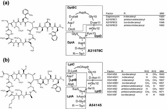 Daptomycin and Related Lipopeptides Produced by Fermentation, Chemical ...