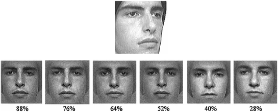 Prosopagnosia: The Inability to Recognize Faces | SpringerLink