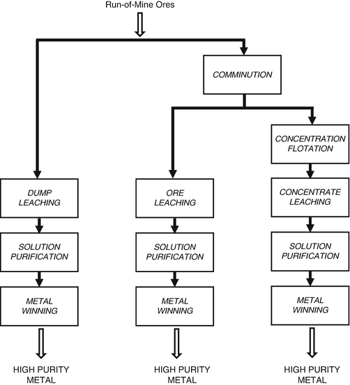Hydrometallurgy | SpringerLink