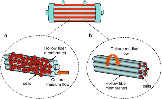 Hollow Fiber Membrane Bioreactor for Cell Growth | SpringerLink