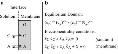 Donnan Effect | SpringerLink