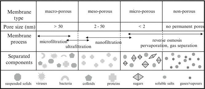 Macroporous, Mesoporous, and Microporous Membranes | SpringerLink