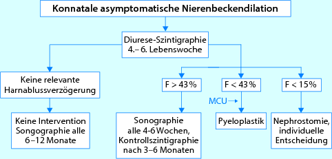 Fehlbildungen des Urogenitalsystems | SpringerLink