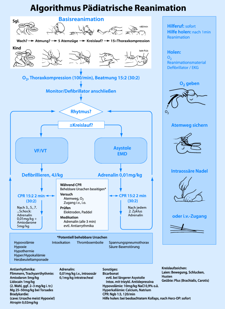 Reanimation, Beatmung, prä- und postoperative Therapie | SpringerLink