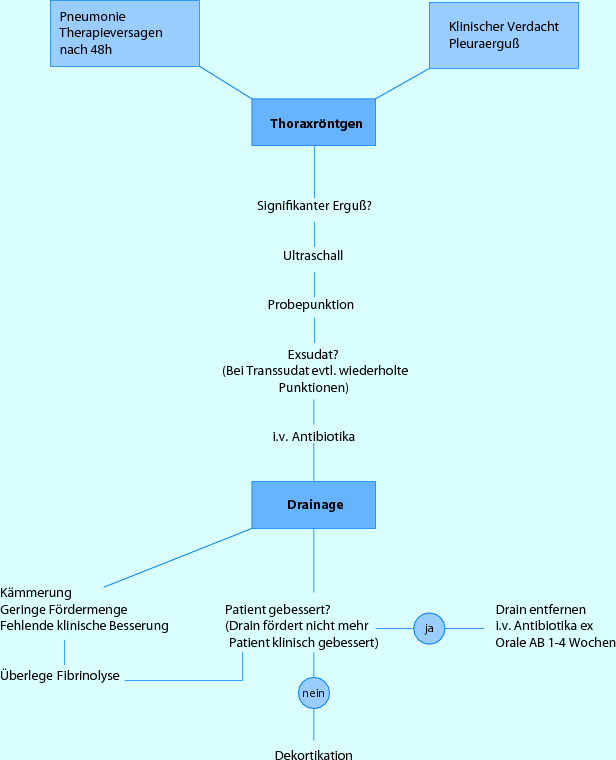 Erkrankungen von Pleura und Mediastinum | SpringerLink