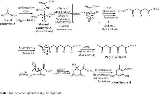 Polyketide Pathway. Biosynthesis of Diverse Classes of Aromatic ...
