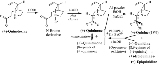 Quinine. Cinchona Alkaloids ( Tryptophan Derived Quinoline Alkaloids ...
