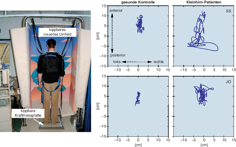 Motorische Kontrolle | SpringerLink