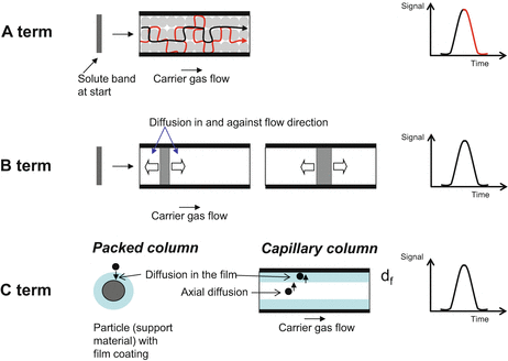 Theory of Gas Chromatography | SpringerLink