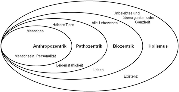 Orientierung über den Sachstand | SpringerLink