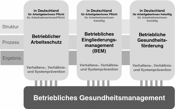 Das Handlungsfeld Betriebliches Eingliederungsmanagement im Betrieblichen Gesundheitsmanagement ...