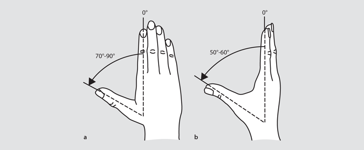 Bewegungsapparat | SpringerLink
