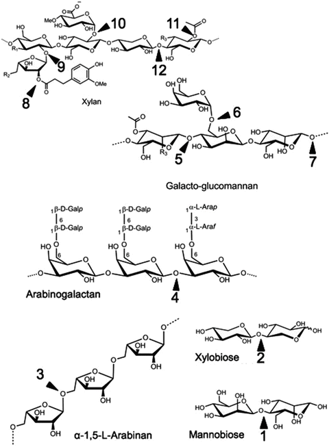 Enzymatic Aqueous Extraction (EAE) | SpringerLink