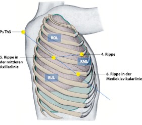 Herz- und Lungenauskultation, Perkussion und Stimmfremitus | SpringerLink