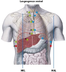 Herz- und Lungenauskultation, Perkussion und Stimmfremitus | SpringerLink