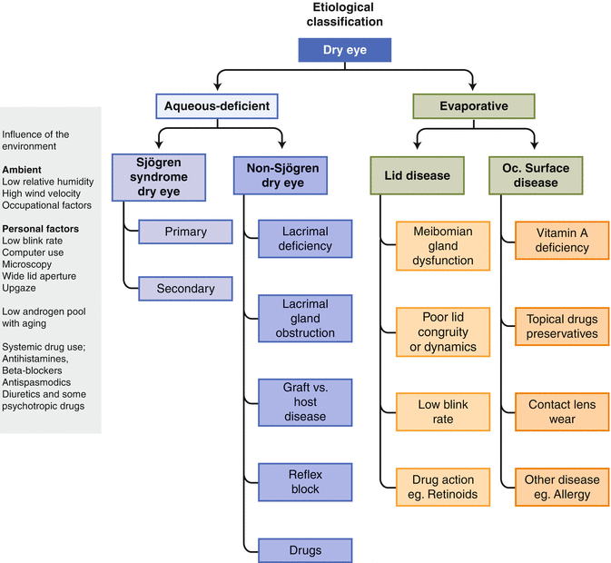 The Definition and Classification of Dry Eye Disease | SpringerLink