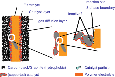 Polymer Electrolyte Membrane Fuel Cells | SpringerLink