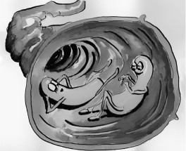 Krankheitserreger, Infektionsquellen und Übertragungswege | SpringerLink