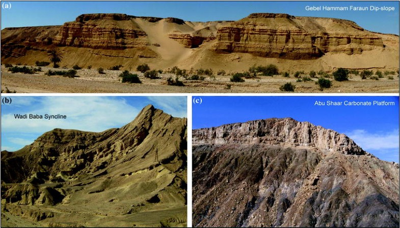 Geological Evolution of the Red Sea: Historical Background, Review, and ...