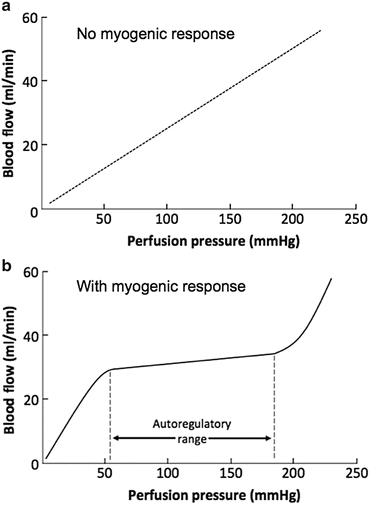 Biomechanics of Blood Vessels: Structure, Mechanics, and Adaptation ...