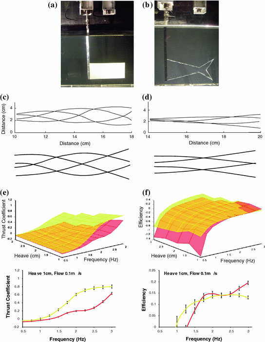 Fish Locomotion: Biology and Robotics of Body and Fin-Based Movements ...