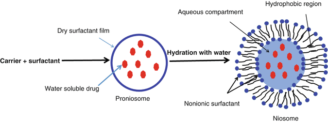 Surfactants as Penetration Enhancers for Dermal and Transdermal Drug ...