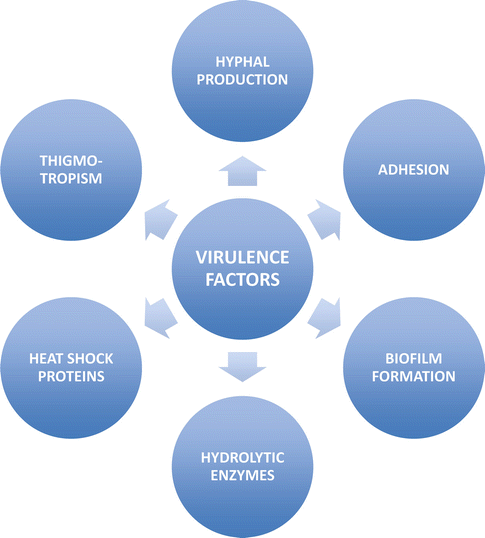 Candida Virulence Factors | SpringerLink