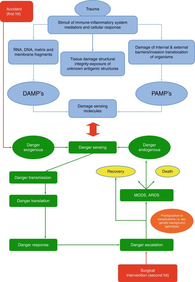 Pathophysiology of Polytrauma | SpringerLink