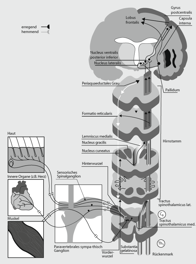 Grundlagen | SpringerLink