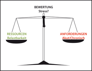 Stress und Stressbewältigung im Stab | SpringerLink